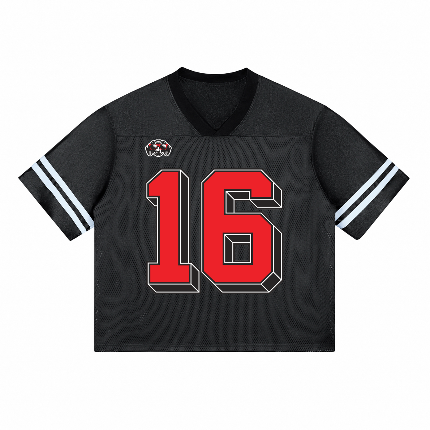 Charles Leclerc Football Jersey – The Red Flags Merch